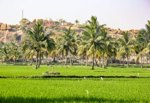 Destination Wisdom to Destination Wedding, visit Hampi for reasons ...