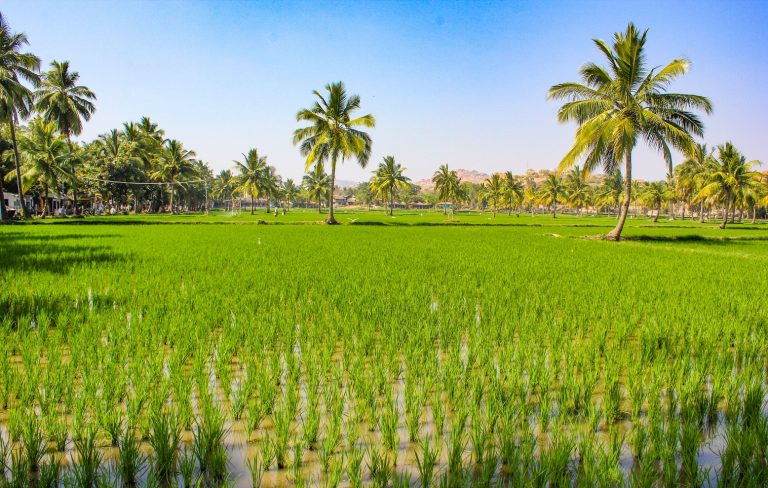 Destination Wisdom to Destination Wedding, visit Hampi for reasons ...